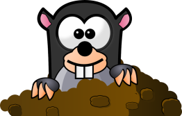 El topo | Características, alimentación, reproducción, problemas causados