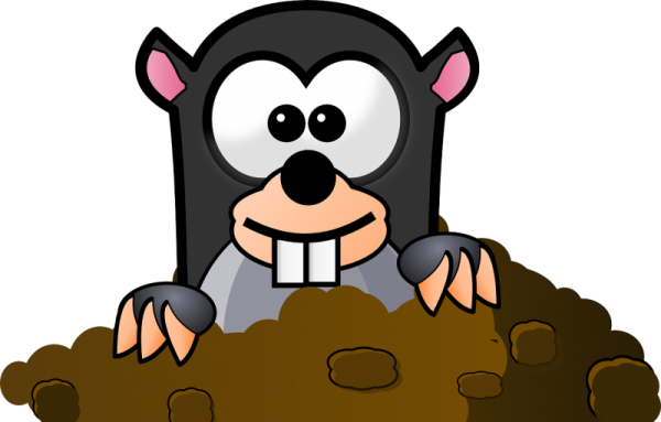 El topo | Características, alimentación, reproducción, problemas causados