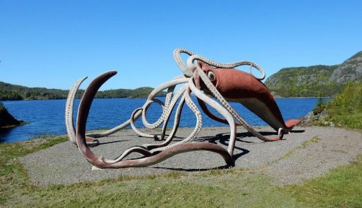 Calamar gigante | Características, hábitat, alimentación, reproducción