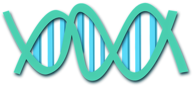 Quiasma | Qué es, definición, significado, función | Óptico