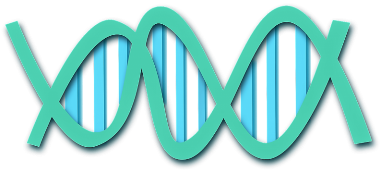 Quiasma | Qué es, definición, significado, función | Óptico