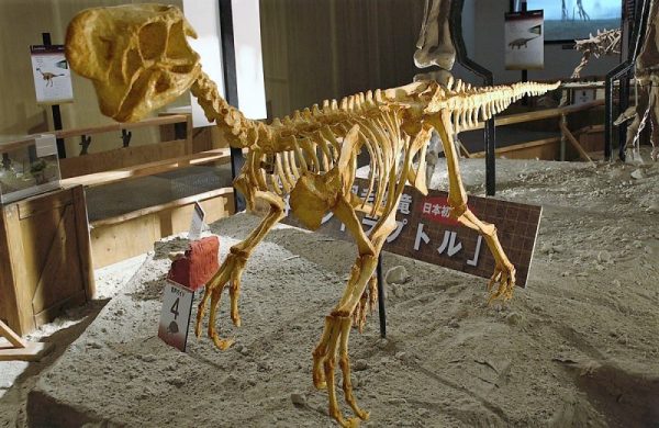 Oviraptor | Características, alimentación, origen, curiosidades ...