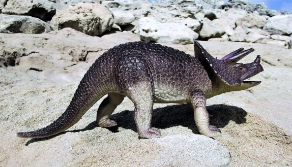 Triceratops | Características, alimentación, rasgos, defensa | Dinosaurio