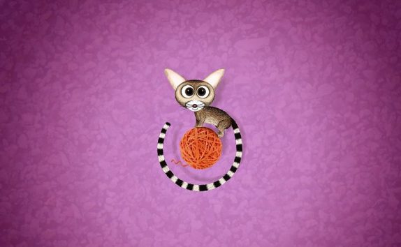 Cacomixtle | Características, hábitat, alimentación, reproducción | Mascota