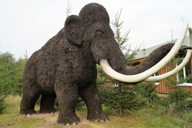 Mamuts | Qué son, características, hábitat, comportamiento, extinción