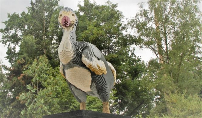 Pájaro dodo | Características, alimentación, hábitat, extinción | Ave