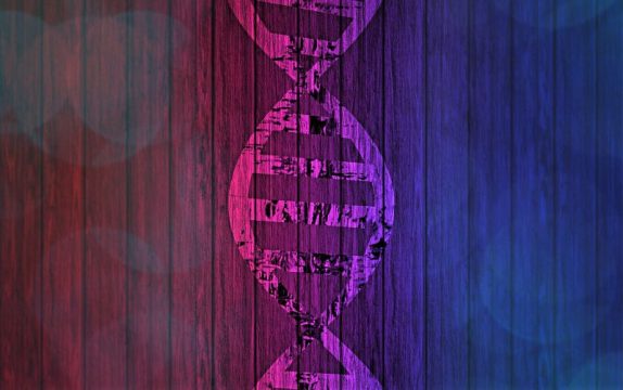 Autosomas | Qué son, definición, alteraciones, anomalías genéticas