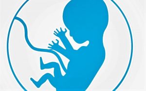 Ectodermo | Qué es, cómo se forma, cómo se divide, importancia