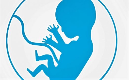 Ectodermo | Qué es, cómo se forma, cómo se divide, importancia