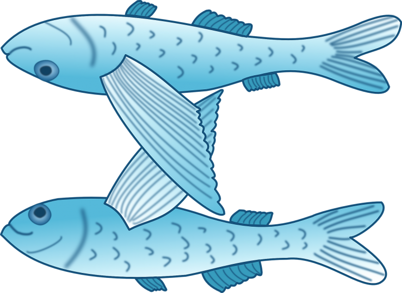 Pez volador | Características, tipos, vuelo, pesca, información