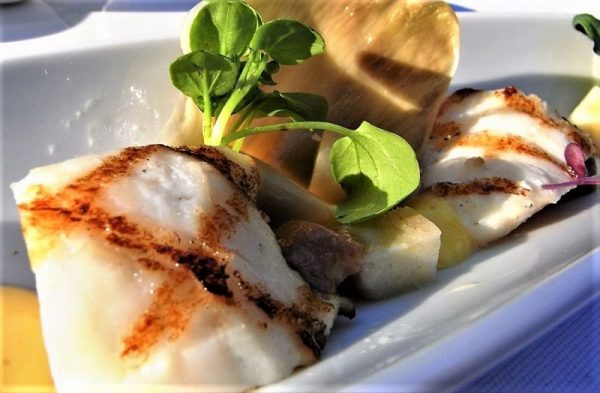 Rodaballo | Qué es, características, uso gastronómico, tipos, curiosidades