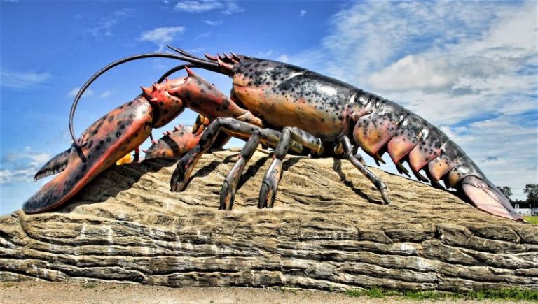 Bogavante | Características, alimentación, hábitat, reproducción